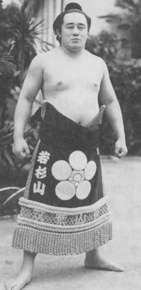 Category:Trading Industry | Sumowrestling Wiki | Fandom