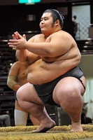 Komanokuni Joji | Sumowrestling Wiki | Fandom