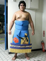 Musashikuni Mamu | Sumowrestling Wiki | Fandom