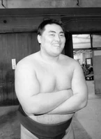 Akimoto Hisao | Sumowrestling Wiki | Fandom