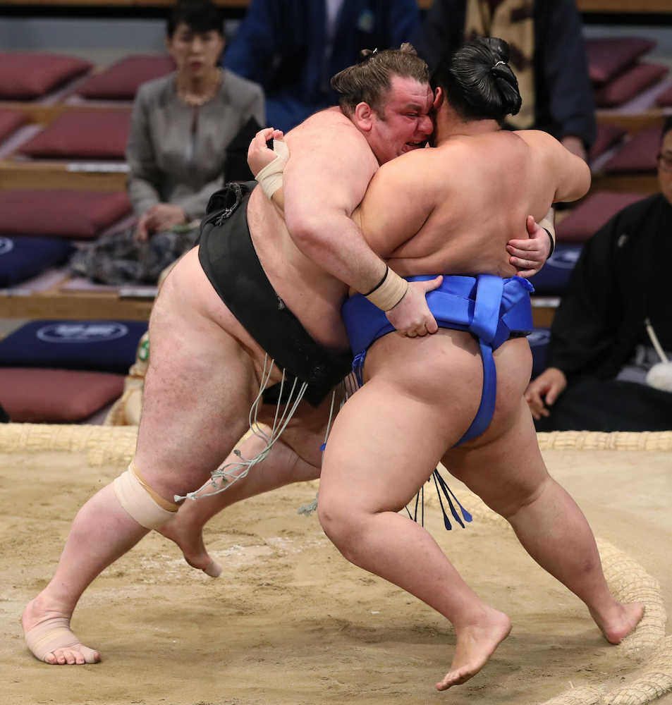 Gokushindo Takahiro | Sumowrestling Wiki | Fandom Gokushindo Takahiro | Sumowrestling Wiki | Fandom
