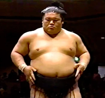 Ryudo Go | Sumowrestling Wiki | Fandom