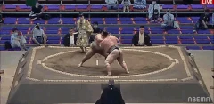 Fujikensho Ibuki | Sumowrestling Wiki | Fandom