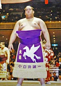 Daiki Susumu | Sumowrestling Wiki | Fandom