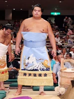 Hishofuji Hiroki | Sumowrestling Wiki | Fandom