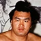 List of Yokozuna | Sumowrestling Wiki | Fandom