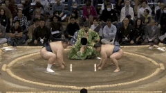 Churanoumi Yoshihisa | Sumowrestling Wiki | Fandom