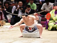 Enho Yuya | Sumowrestling Wiki | Fandom