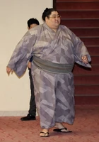 Yamamotoyama Ryuta | Sumowrestling Wiki | Fandom