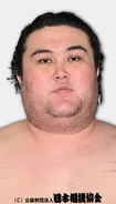Kinbozan Haruki | Sumowrestling Wiki | Fandom