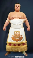 Hidenoumi Takuya | Sumowrestling Wiki | Fandom