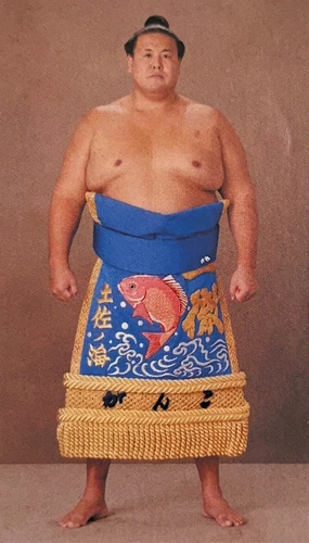 Tosanoumi Toshio | Sumowrestling Wiki | Fandom