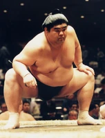 Tokitsunada Hironori | Sumowrestling Wiki | Fandom