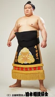 Goeido Gotaro | Sumowrestling Wiki | Fandom