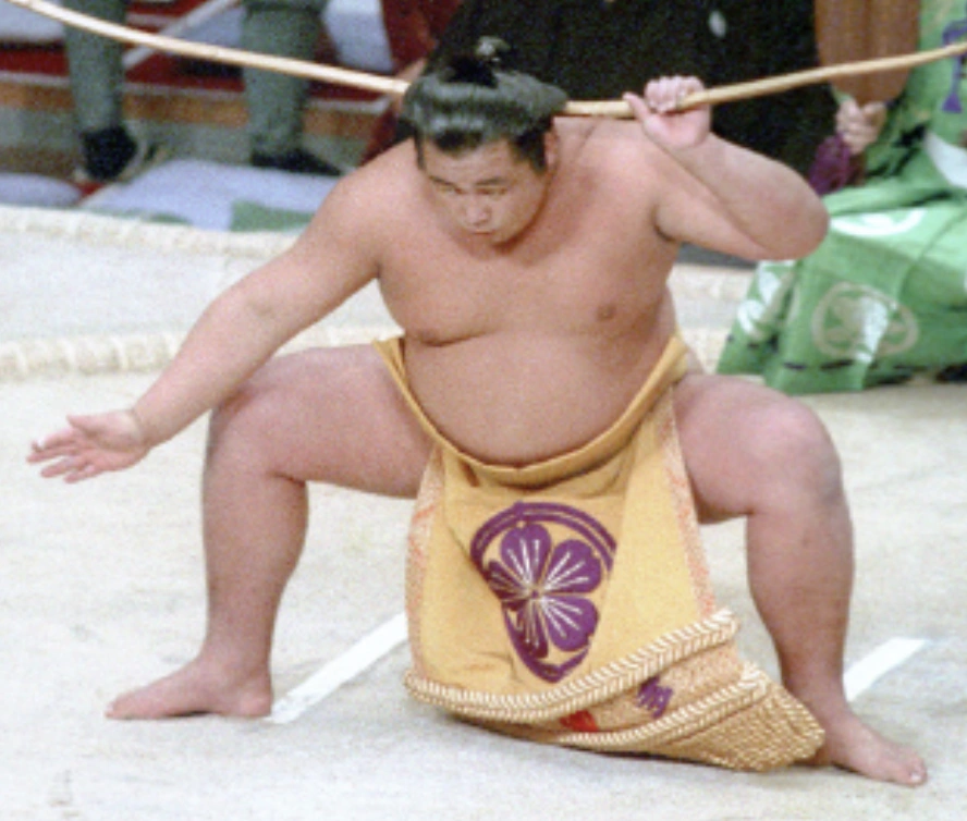Koganefuji Takeshi | Sumowrestling Wiki | Fandom