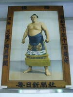 Mienoumi Tsuyoshi | Sumowrestling Wiki | Fandom