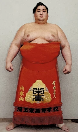Yamamotoyama Ryuta | Sumowrestling Wiki | Fandom