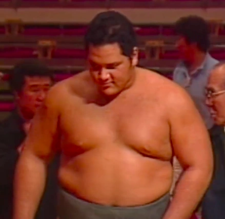 Musashibo Benkei | Sumowrestling Wiki | Fandom