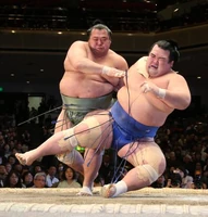 Toyonoshima Daiki | Sumowrestling Wiki | Fandom