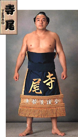 Terao Tsunefumi | Sumowrestling Wiki | Fandom