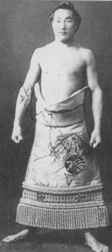 Ryuozan Hikaru | Sumowrestling Wiki | Fandom