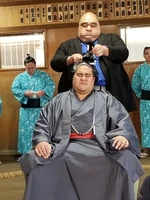 Musashikuni Mamu | Sumowrestling Wiki | Fandom