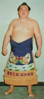 Mienoumi Tsuyoshi | Sumowrestling Wiki | Fandom