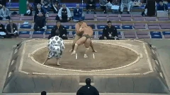 Tomisakae Ryutaro | Sumowrestling Wiki | Fandom
