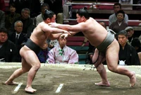 Daieisho Hayato | Sumowrestling Wiki | Fandom