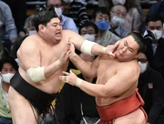 Hoshoryu Tomokatsu | Sumowrestling Wiki | Fandom