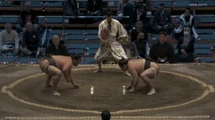 Gojinyu Taiga | Sumowrestling Wiki | Fandom