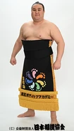 Kinbozan Haruki | Sumowrestling Wiki | Fandom