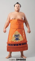 Hidenoumi Takuya | Sumowrestling Wiki | Fandom