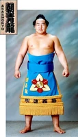 Asashoryu Akinori | Sumowrestling Wiki | Fandom