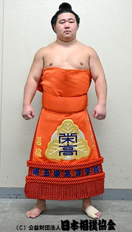 Wakaikari Seigo | Sumowrestling Wiki | Fandom