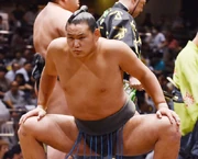 Hoshoryu Tomokatsu | Sumowrestling Wiki | Fandom