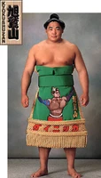 Kyokushuzan Noboru | Sumowrestling Wiki | Fandom