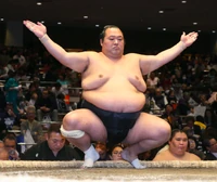 Toyonoshima Daiki | Sumowrestling Wiki | Fandom