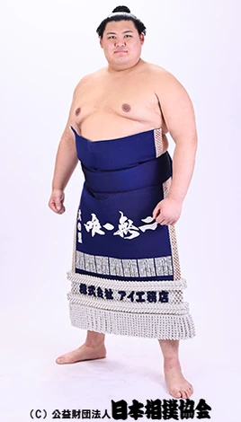 Onosato Daiki | Sumowrestling Wiki | Fandom