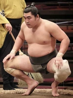 Sakurai Kotaro | Sumowrestling Wiki | Fandom