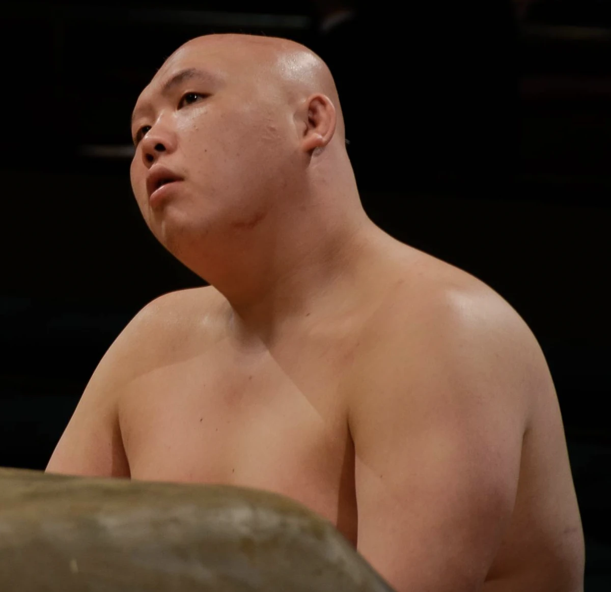Taikomaru Yutaka | Sumowrestling Wiki | Fandom