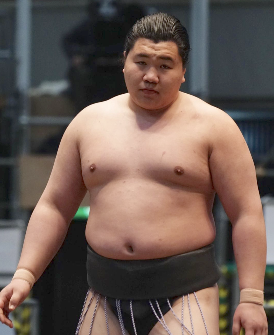 Daiseizan Daisuke | Sumowrestling Wiki | Fandom