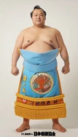 Toyonoshima Daiki | Sumowrestling Wiki | Fandom