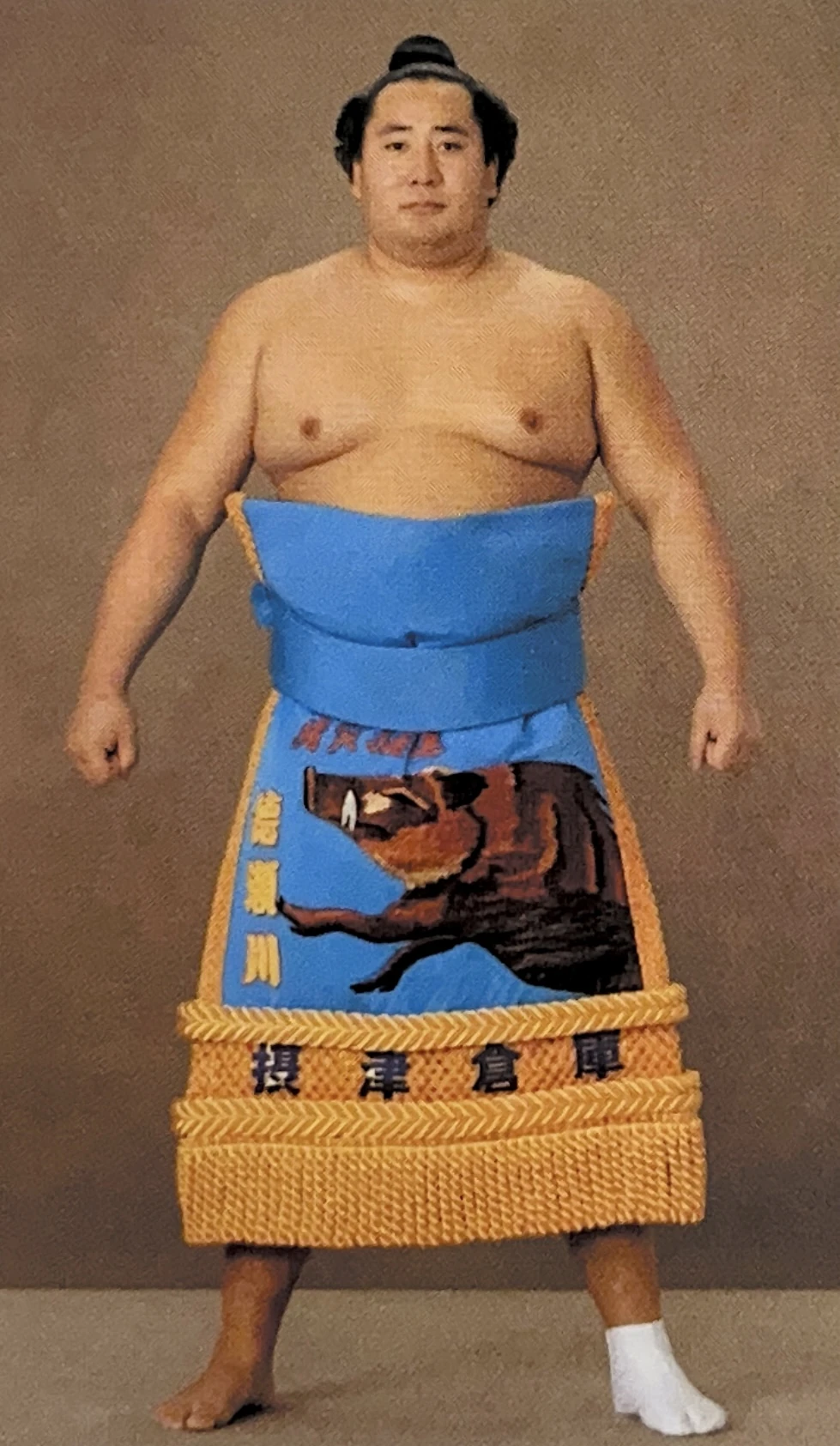 Tokusegawa Masanao | Sumowrestling Wiki | Fandom