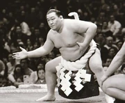 Mienoumi Tsuyoshi | Sumowrestling Wiki | Fandom