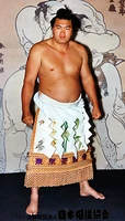 Wajima Hiroshi | Sumowrestling Wiki | Fandom