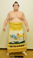 Terunofuji Haruo | Sumowrestling Wiki | Fandom