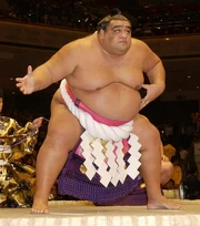 Musashimaru Koyo | Sumowrestling Wiki | Fandom