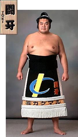 Toki Susumu | Sumowrestling Wiki | Fandom