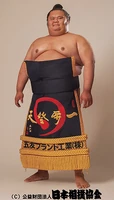Chiyomaru Kazuki | Sumowrestling Wiki | Fandom